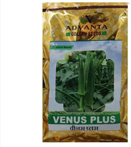 Setia SETIA ADVANTA SEEDS VENUS BHINDU 250G, LADY FINER ADVANTA, BHINDI ...