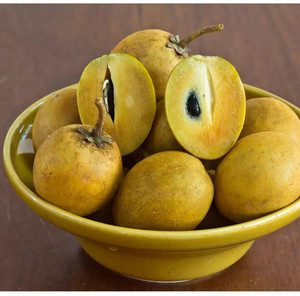 naturehils Chalisa Chikoo, Sapota, Sapodilla, Naseberry Seed, Sobeda ...
