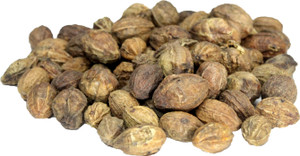 MyGodGift Badi Harad Whole, Haritaki, Sabut Harad, Terminalia Chebula ...