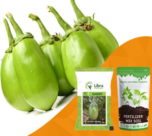 NATURAL AND HERBAL PRODUCTS Green Eggplant Seeds for Planting | Brinjal ...