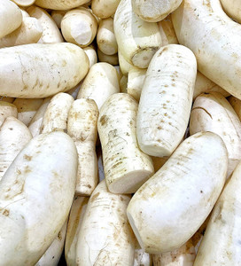 VINTI Fresh White Radish ( Chinese Lo Bok ) Seed Price in India - Buy ...