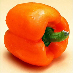 JRYU Shimla Mirch F1 Hybrid Vegetable Seed Price in India - Buy JRYU ...