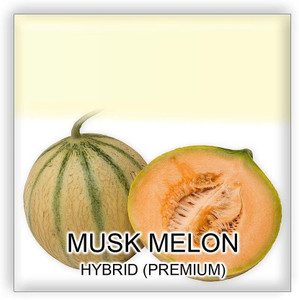VibeX ATS-50 - Musk Melon for planting - (450 Seeds) Seed Price in ...