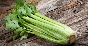 ENTENT Celery Organic Herb/Vegetable Seed Price in India - Buy ENTENT ...