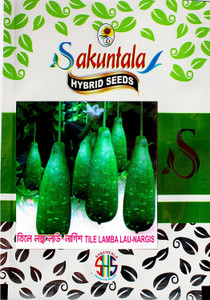 VibeX Bottle Gourd Seeds Desi Loki Green Lauki-(10 Gms, 50 Seeds) Seed ...