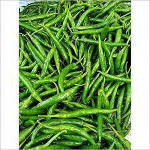 greenfarm XCZI- Chilli Seeds , Mirchi seeds Pure Organic , 700 per ...