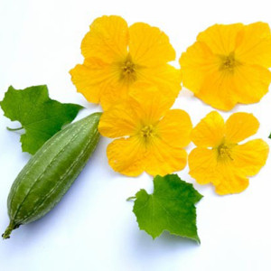 naturehils Ridge Gourd Seeds, Jhinga Seeds, Seeds For Vegetable ...