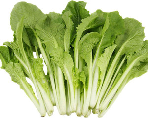 CYBEXIS Baby Cabbage Seeds Brassica chinensis -100 Seeds Seed Price in ...