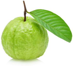 Organic Galaxy Fresh Sweet Guava Fruit hybrid (High yield variety) Seed ...