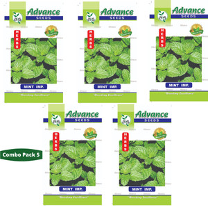 GARDENIFY INDIA f1 hybrid mint/pudina seeds, herb seeds for home ...