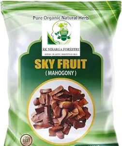RK NISARGA FORESTRY SKY FRUIT, ADAVI BADAM, KADWA BADAM, AKASHA PANDU ...