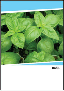 VibeX Hybrid Basil Seeds(1000 Seeds) Seed Price in India - Buy VibeX ...
