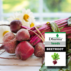 Dharma Beet Root Seed Price in India - Buy Dharma Beet Root Seed online ...