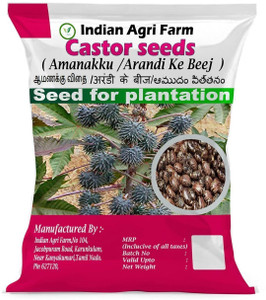 IAgriFarm Castor Seeds - 500 g - Arandi Ke Beej / Ricinus Communis ...