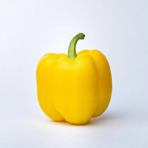 VASUDHA Capsicum Yellow (Shimla Mirch) / शिमला मिर्च Seed Price in ...