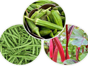CYBEXIS Red Bhindi, Bhindi, Beans Seed Price in India - Buy CYBEXIS Red ...