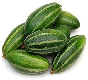 WILLVINE Parwal (Pointed Gourd) Vegetable Seeds[100 Gms, 500 Seeds ...