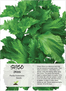 VibeX ® XLR-93 Kaori Ao Shiso Perilla Seeds Seed Price in India - Buy ...