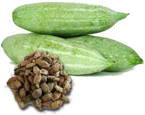 WILLVINE GUA-117 Snake Gourd, Serpent Gourd, Chichinda Seeds Seed Price ...