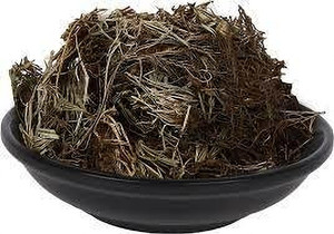 Natures Yard MAYUR SHIKHA - ADIANTUM MELANOCANLUM Seed Price in India ...