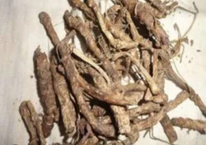 Kesariwala Kedar Kadvi (Jadd) - Kutki Root - Katuka Rohini - Katuki ...