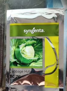 syngenta Cabbage, BC 76 2000 seeds Seed Price in India - Buy syngenta ...