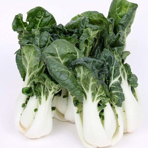 CYBEXIS Vegetable Seeds Produced in The Mini Cabbage Seeds Farm Pak ...