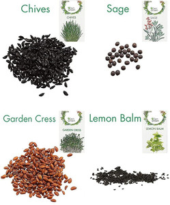 CYBEXIS 4 - Varities Seeds Combo-Chives,Sage,Garden Cress,Lemon Balm ...
