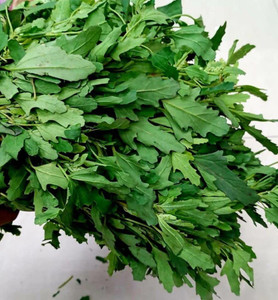 Aywal Bathua Saag(बथुआ साग) Vegetable Seed Price in India - Buy Aywal ...