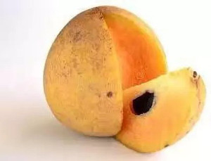 MAA Chikoo, Sapota, Chiku Seed Price in India - Buy MAA Chikoo, Sapota ...