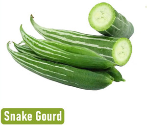 EVERSEED (Chichinda) Snake gourd Seed Price in India - Buy EVERSEED ...