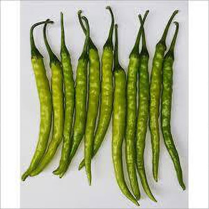 greenfarm Chilli Seeds Pure Organic chilli Mirchi Seeds (500 seeds ...