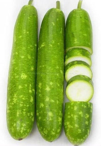 VibeX ® VMR-55 Bottle Gourd Dudhi Sorakaya Lauki Seeds Calabash Seed ...