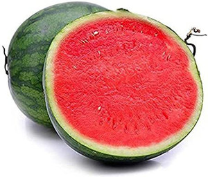 KANAYA Water Melon, Tarbuj Seed Price in India - Buy KANAYA Water Melon ...