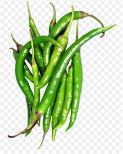 greenfarm NVX- Chilli Seeds/ Mirchi Seeds/ Best Quality , 250 X Seeds ...