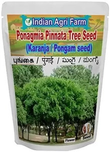 IAgriFarm Karanja/Millettia Pinnata/Indian Beach Tree Seed for ...