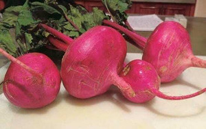 MYLAWN Scarlet Queen Turnip Seed Price in India - Buy MYLAWN Scarlet ...