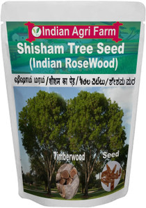 IAgriFarm Shisham / Indian Rosewood/Sheesham plant seed for cultivation ...