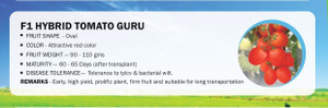 CYBEXIS F1 HYBRID TOMATO GURU(250 Seeds) Seed Price in India - Buy ...