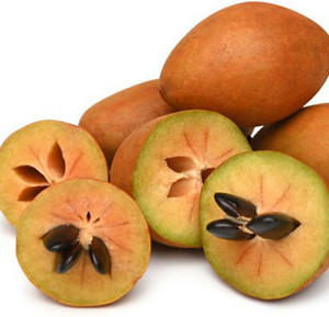 PMA Chalisa Chikoo, Sapota, Sapodilla, Naseberry Seed, Sobeda Hybird ...