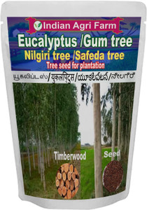 IAgriFarm Eucalyptus tree /Gum /Nilgiri/Safeda tree seeds for ...