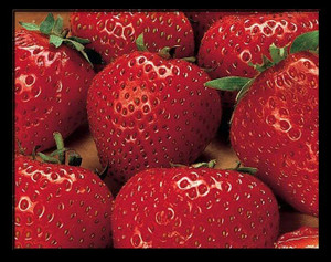 Aywal Strawberry Hybrid Fruit Seeds Seed Price in India - Buy Aywal ...