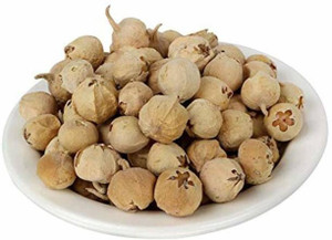 iva Paneer Doda/Withania Coagulans/Paneer Phool/Paneer Ful/Panir Dhoda ...