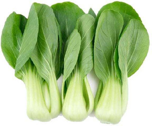 Atlus Siew Pak Choy Seed Price in India - Buy Atlus Siew Pak Choy Seed ...
