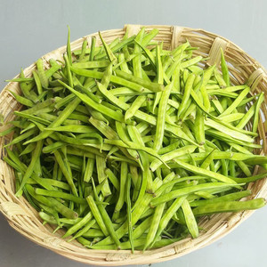 KANAYA Cluster Beans ,Guar Phali, Seed Price in India - Buy KANAYA ...