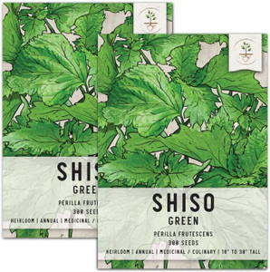 VibeX ® VLR-63 Kaori Ao Shiso Perilla Seeds Seed Price in India - Buy ...