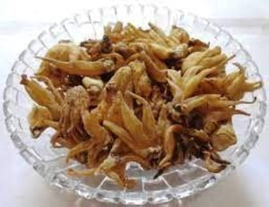 NaturePlanet ANKOL SEEDS - ANKOL BEEJ - ALANGIUM SALVIFOLIUM Seed Price ...