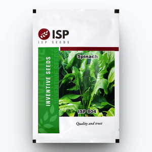 ISP seeds Spinach for kitchen garden Seed Price in India - Buy ISP ...