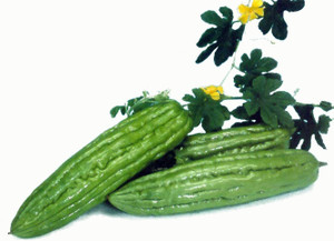 VibeX KGF -3 - F1 Hybrid Balsam Pear (Bitter Melon) - (100 Seeds) Seed ...