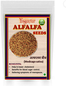YUGANTAR Alfa Seed edible, alfalfa, medicago, sativa hedge, lucerne ...
